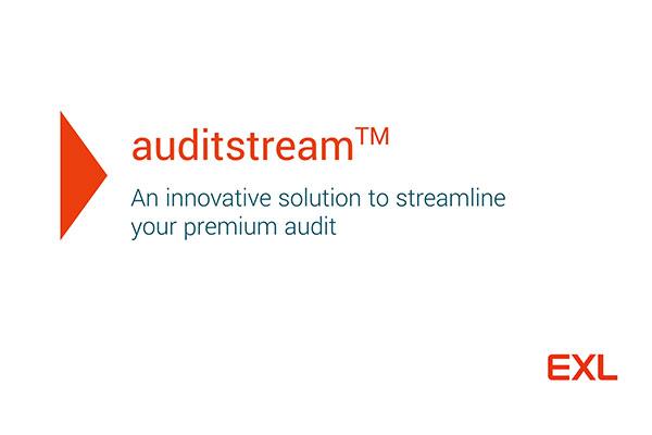 Insurance Premium Audit Services | EXL